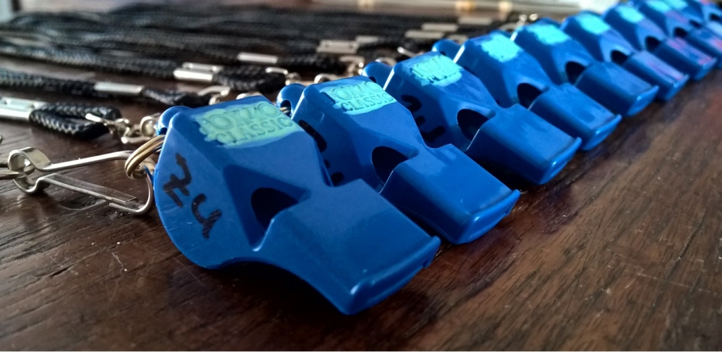 Leren fluiten in de praktijk